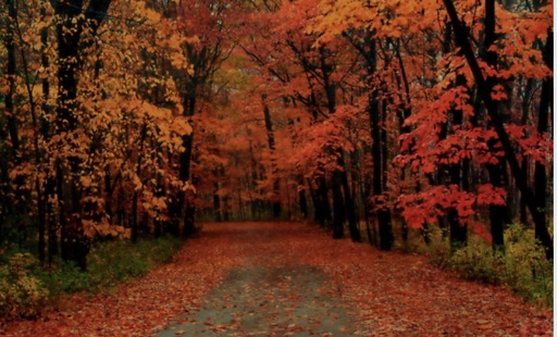 The Selkirk Bridge Club, Selkirk, Manitoba, Canada