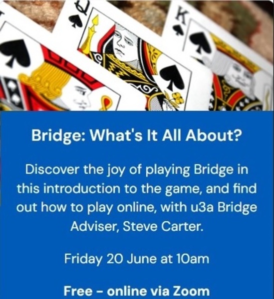 u3a Bridge Group, United Kingdom